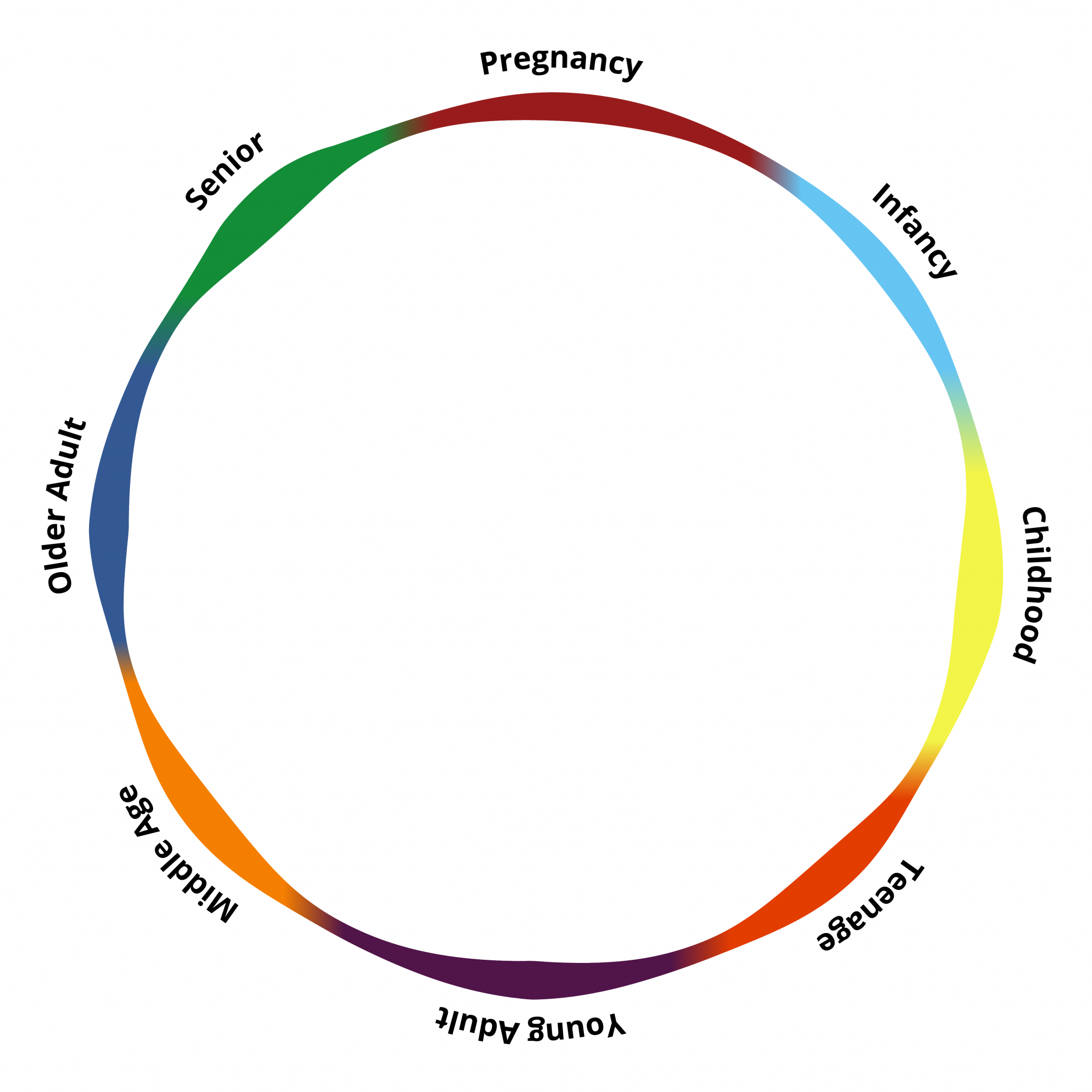 Life Stages Nutrition | Food for the Brain Foundation