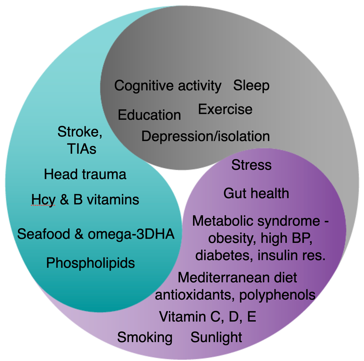 What Is Driving Alzheimer's and Vascular Dementia?
