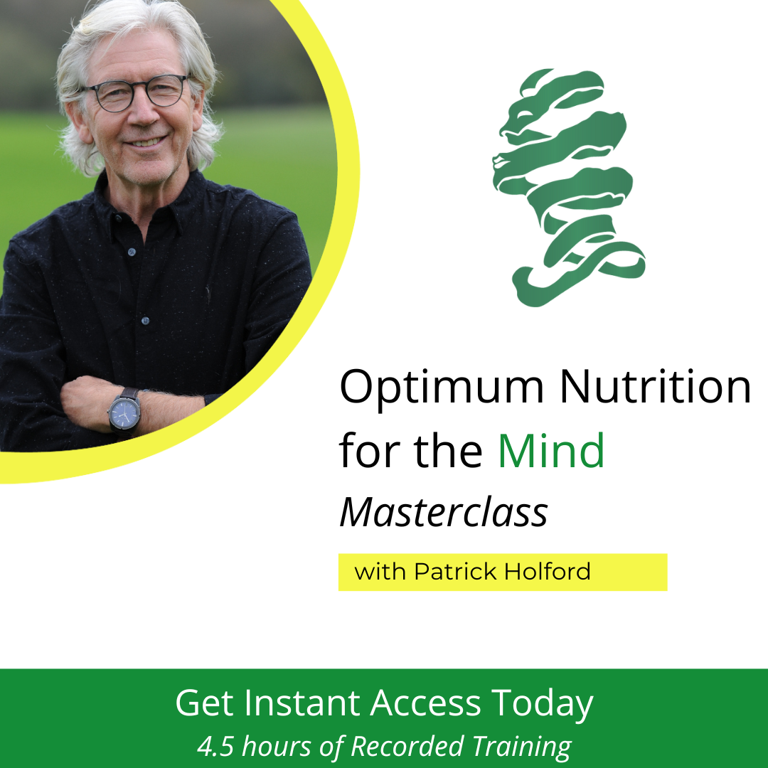 Optimum Nutrition for the Mind Masterclass | Food for the Brain