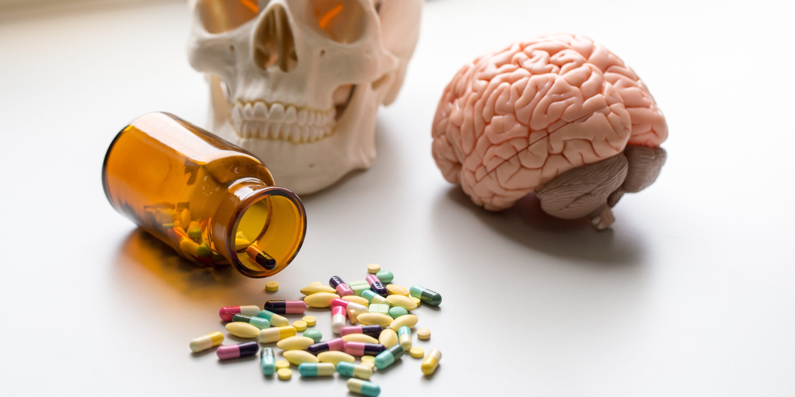 Damaged Brain From Drugs