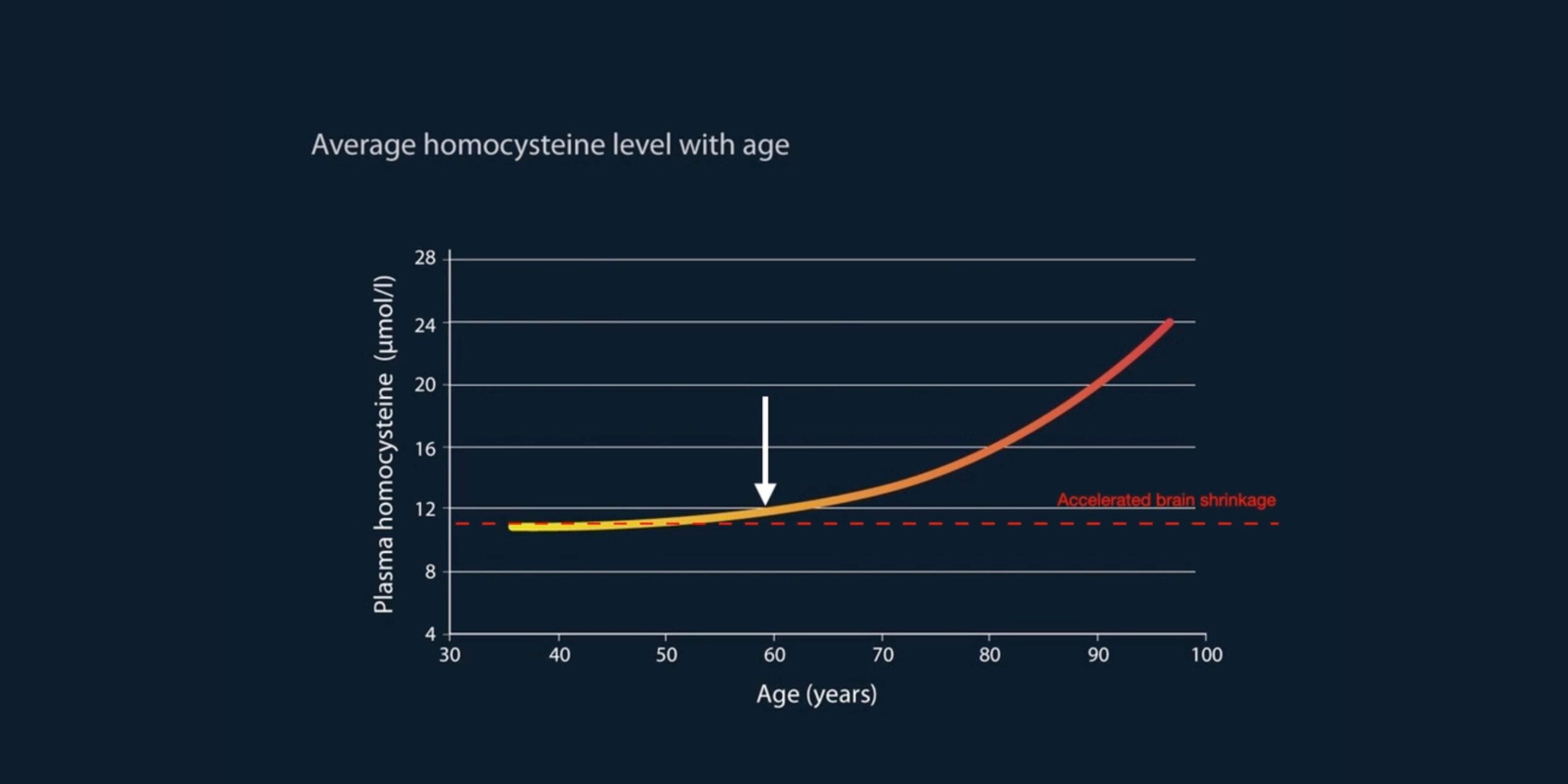 8 Ways to Lower Homocysteine Levels | Food for the Brain