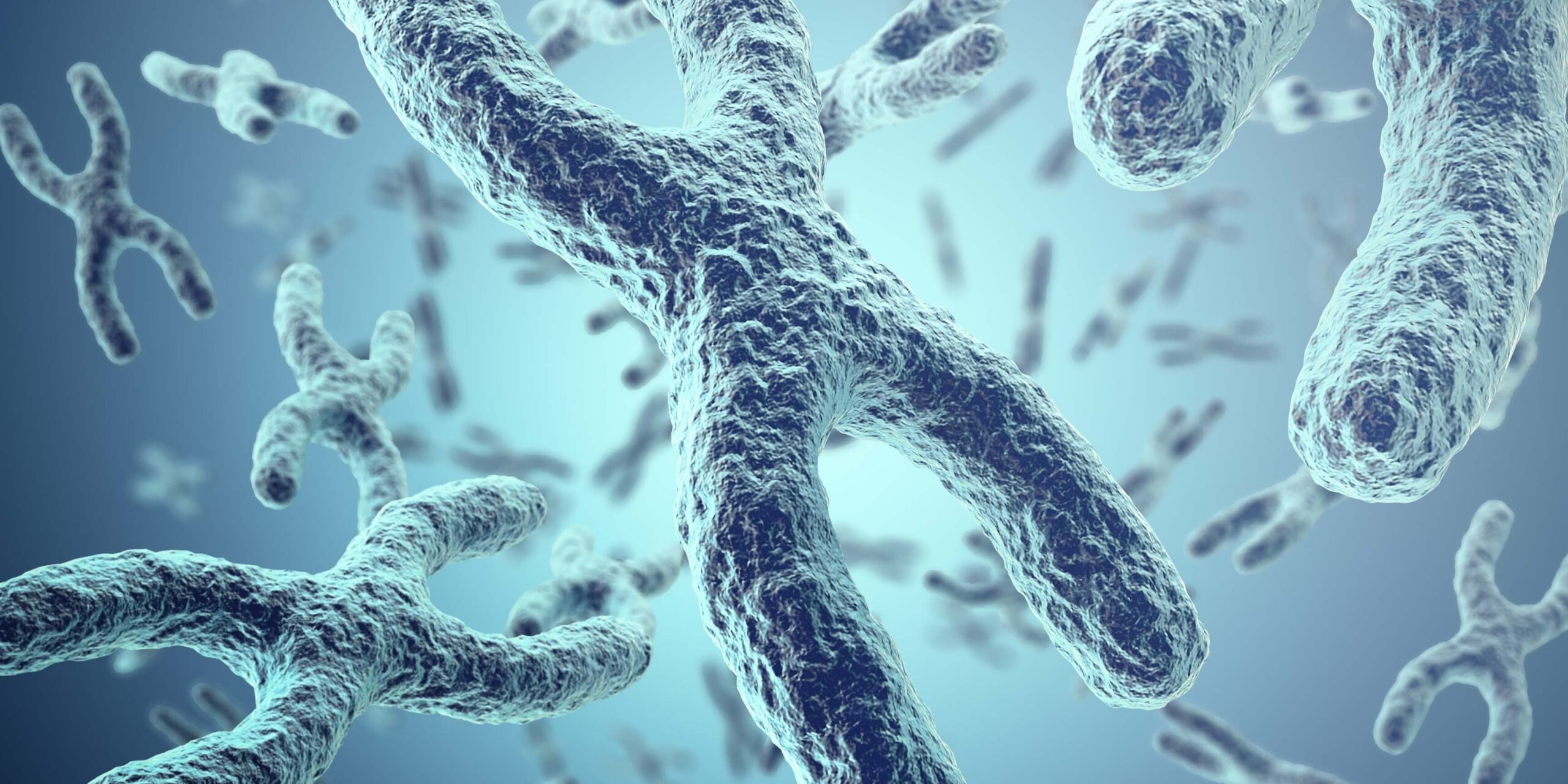 Telomeres and the Aging Brain | Food for the Brain
